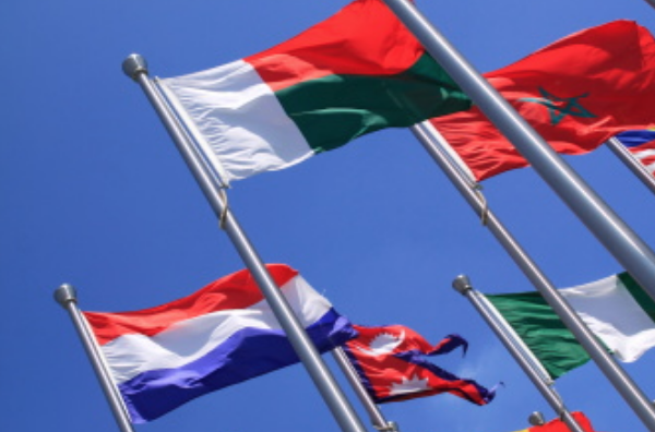 Adopt strong Media Principles and live by them, CJA tells Commonwealth ...