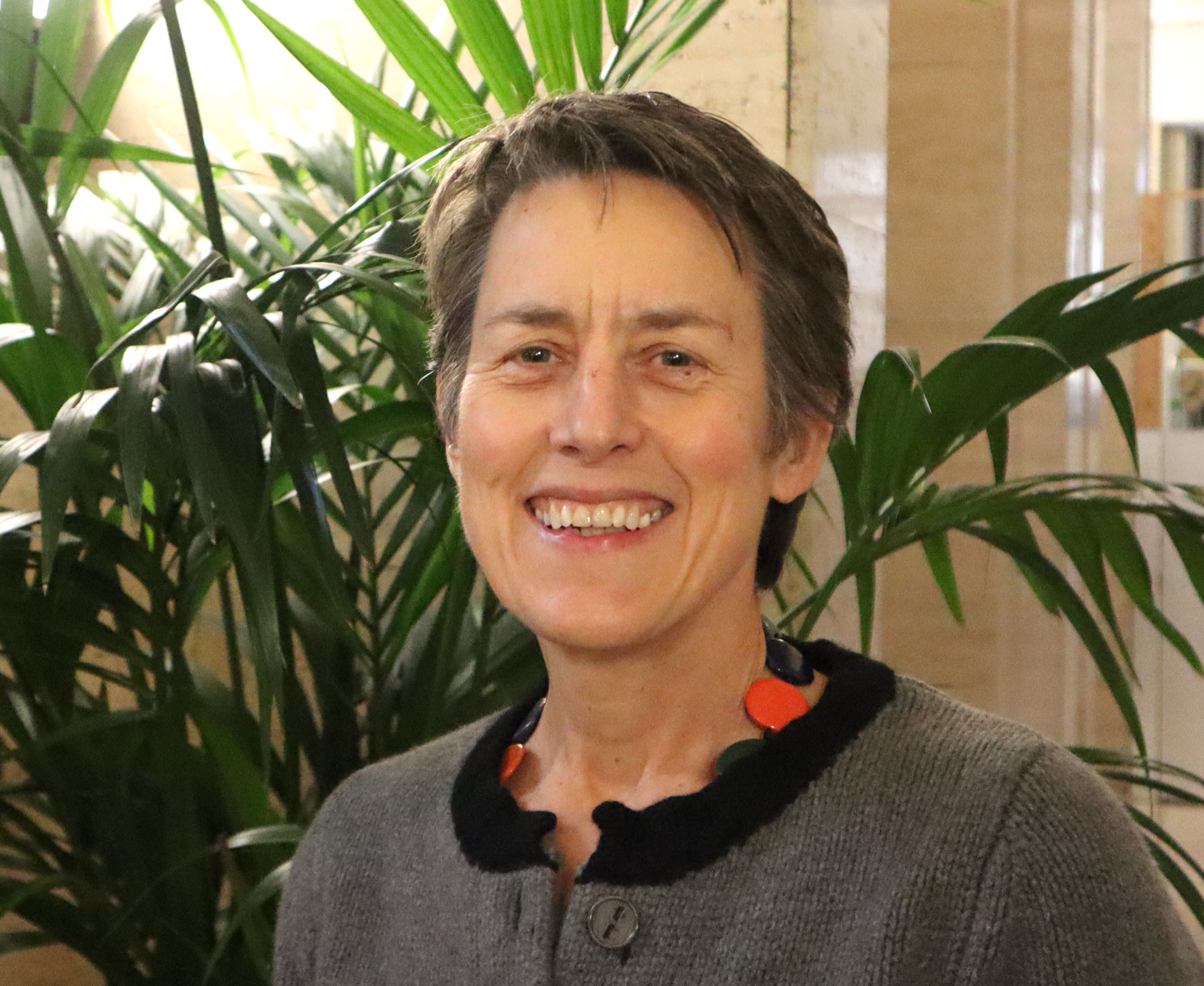 Dr Bronwen Manby | Institute of Commonwealth Studies